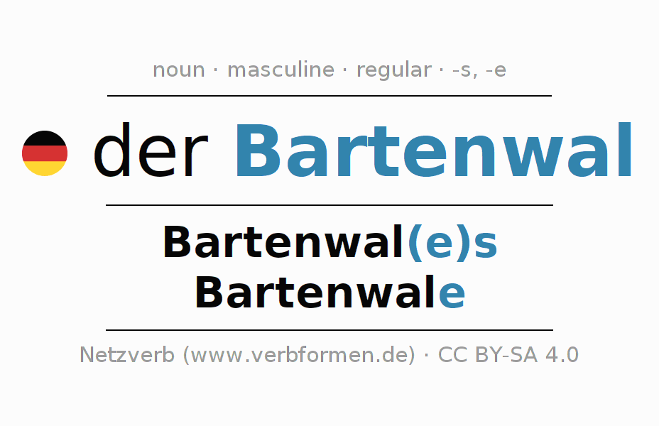 Declension German "Bartenwal" - All cases of the noun, plural, article ...
