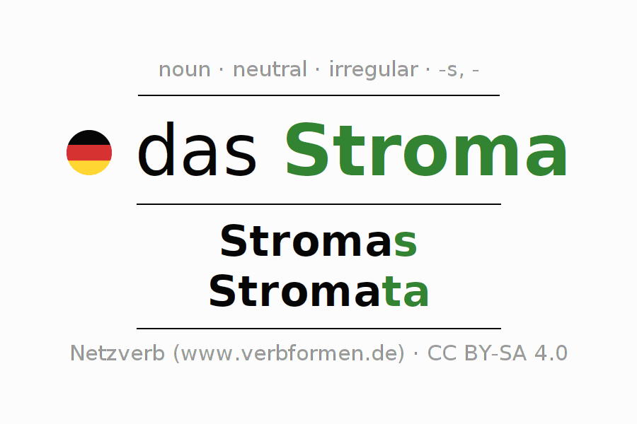 Declension German "Stroma" - All cases of the noun, plural, article ...