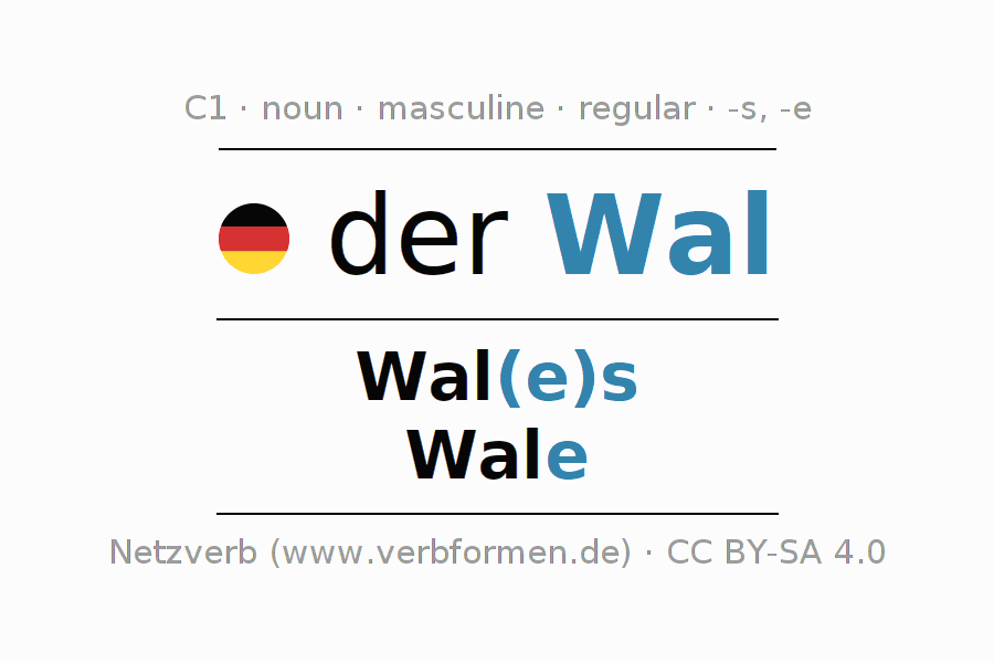 Declension German "Wal" - All cases of the noun, plural, article ...